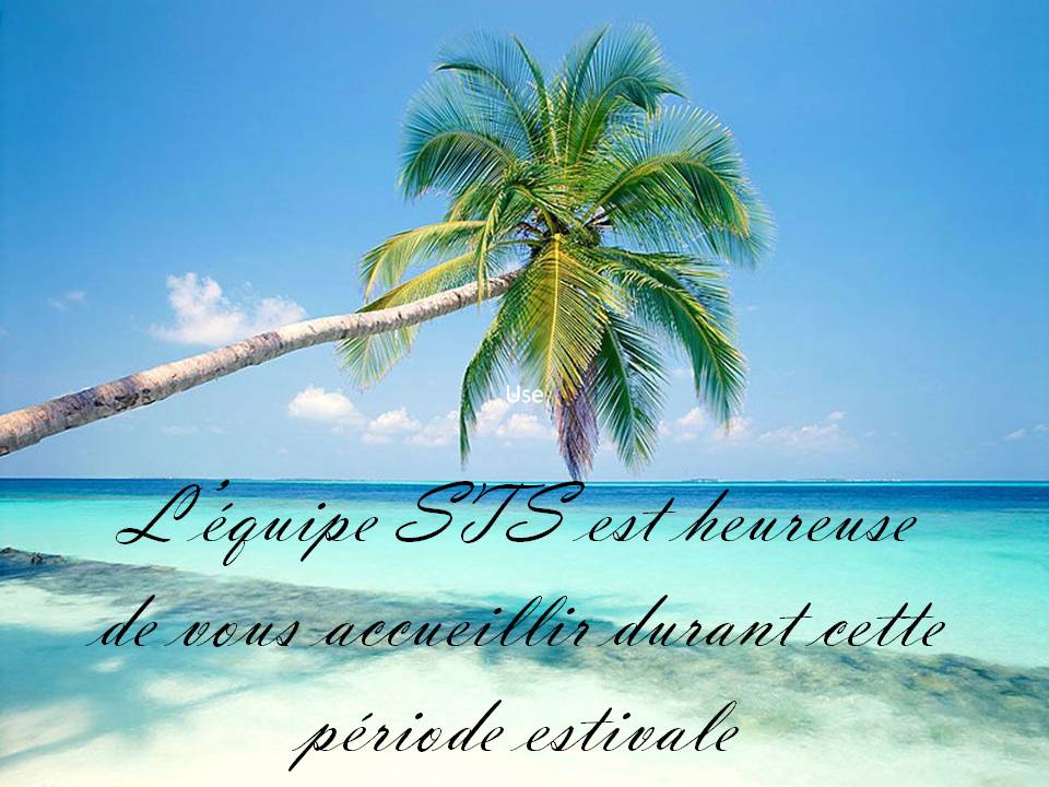 Affiche période estivale 2 - S.T.S. : Soudage, coupage, aspiration, produits de soudages